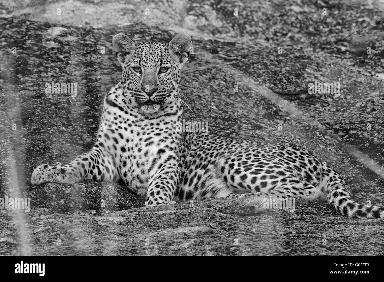 Africa amazing Black and White Stock Photos & Images - Alamy