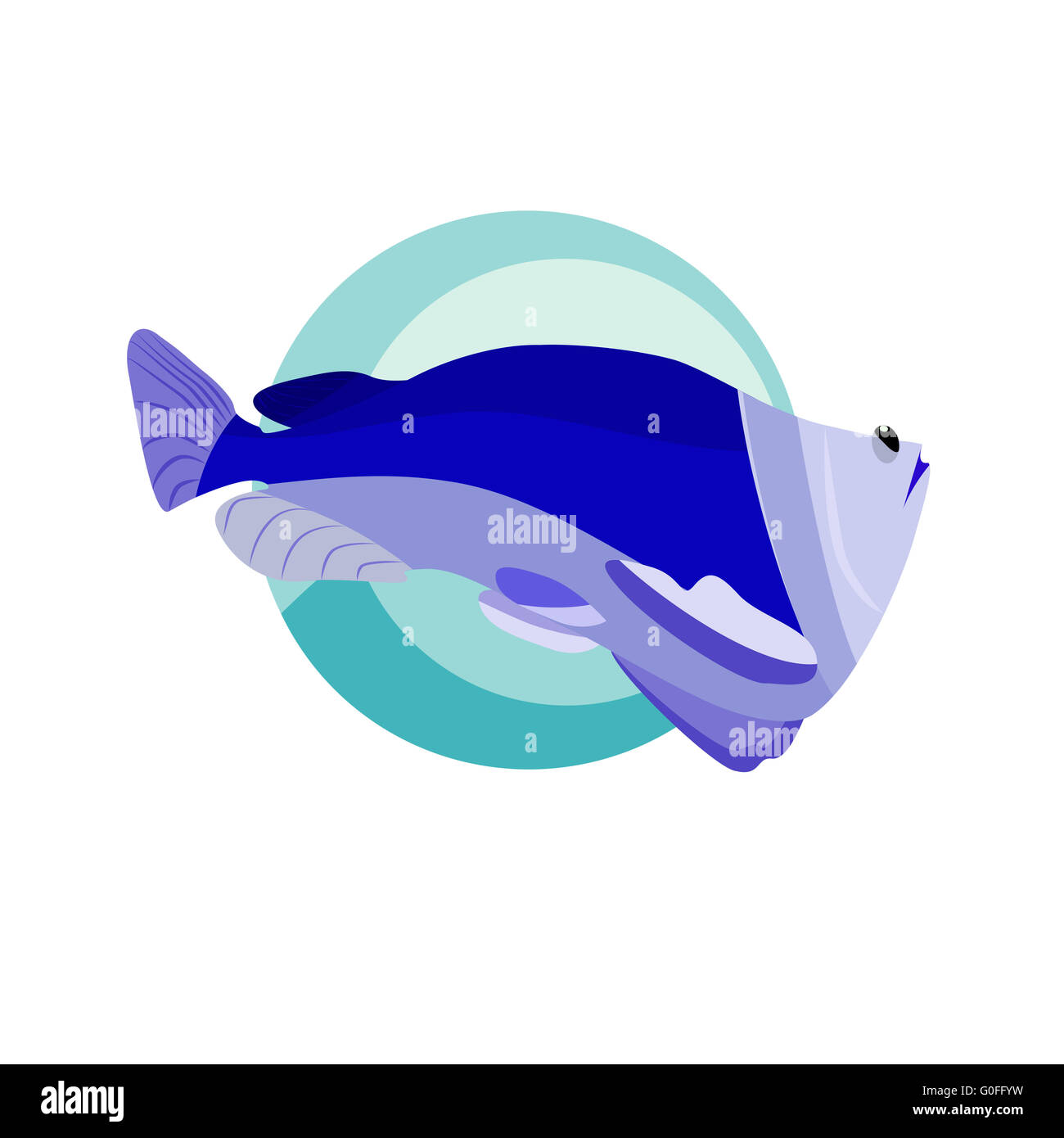 flat tropical fish Stock Photo - Alamy