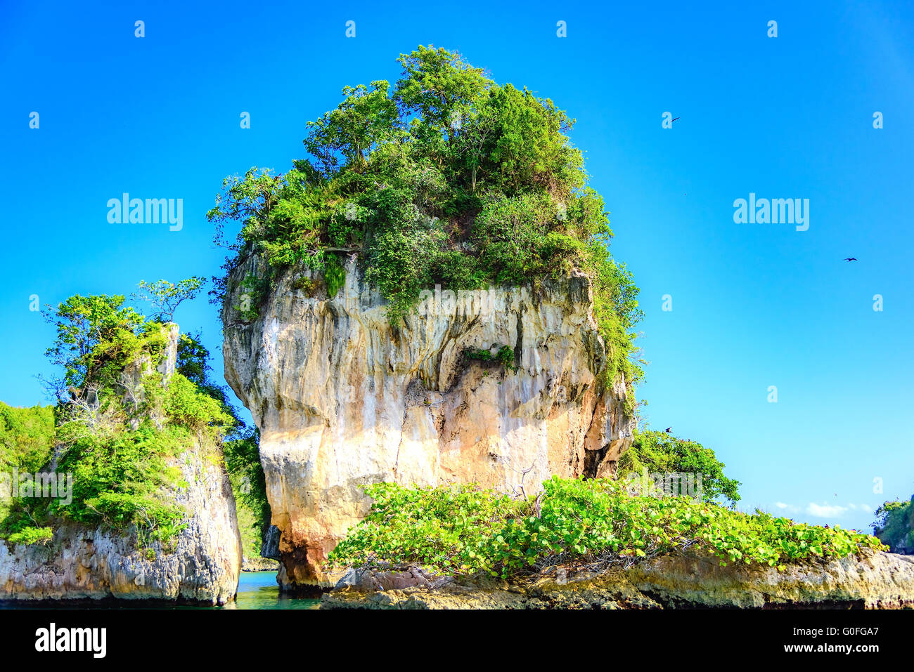 the island green trees in the ocean blue water Stock Photo - Alamy