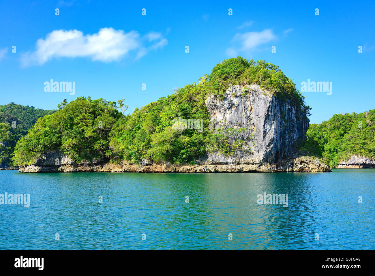 the island green trees in the ocean blue water Stock Photo - Alamy