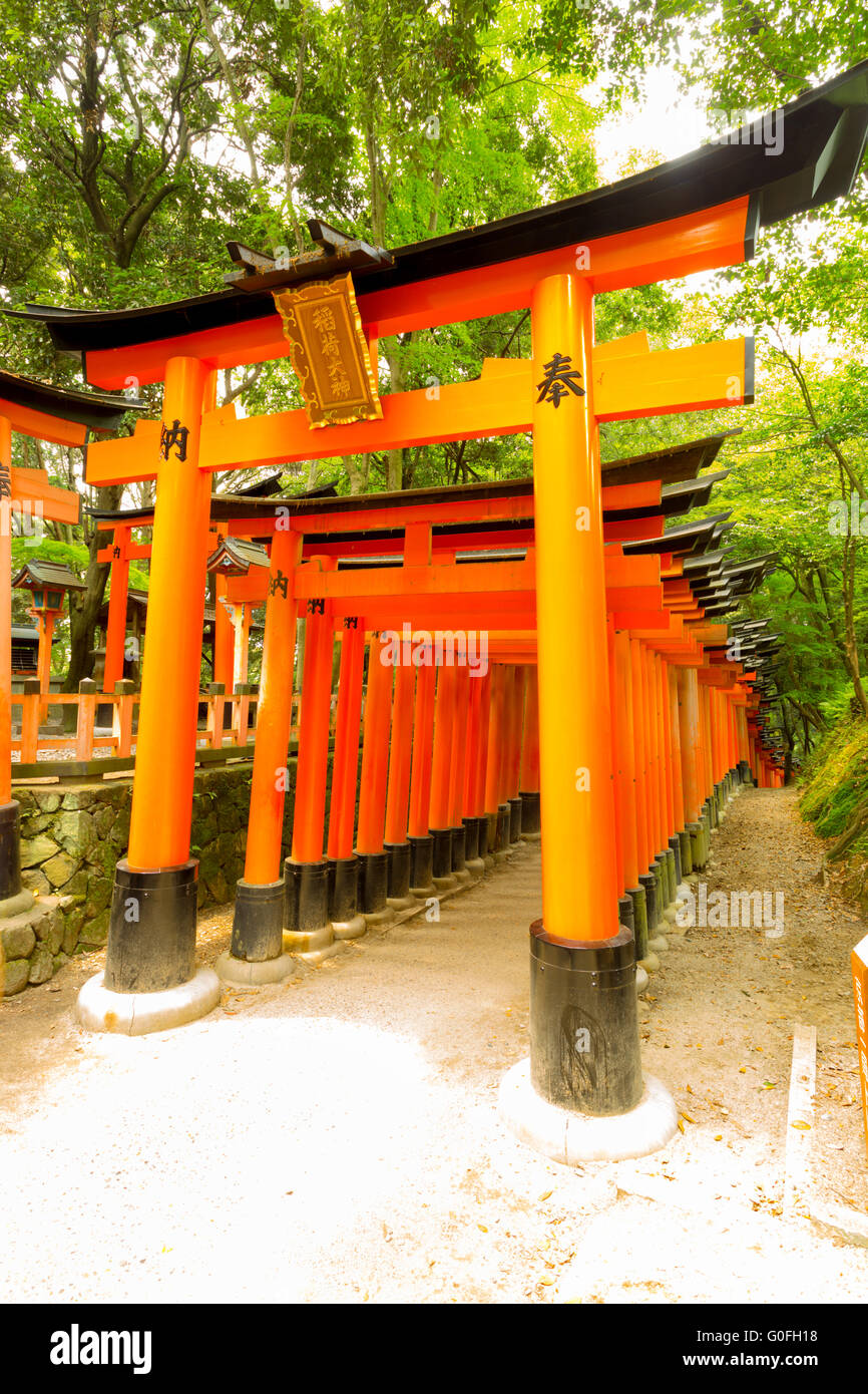Fushimi Inari Shrine Torii Gate Entrance Nobody Stock Photo - Alamy