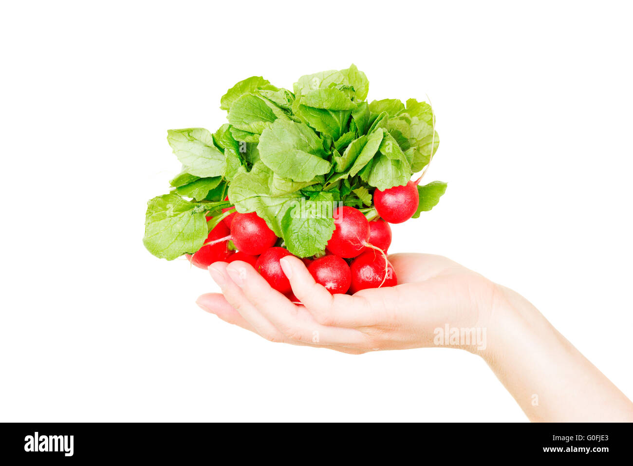 Snack human hi-res stock photography and images - Alamy
