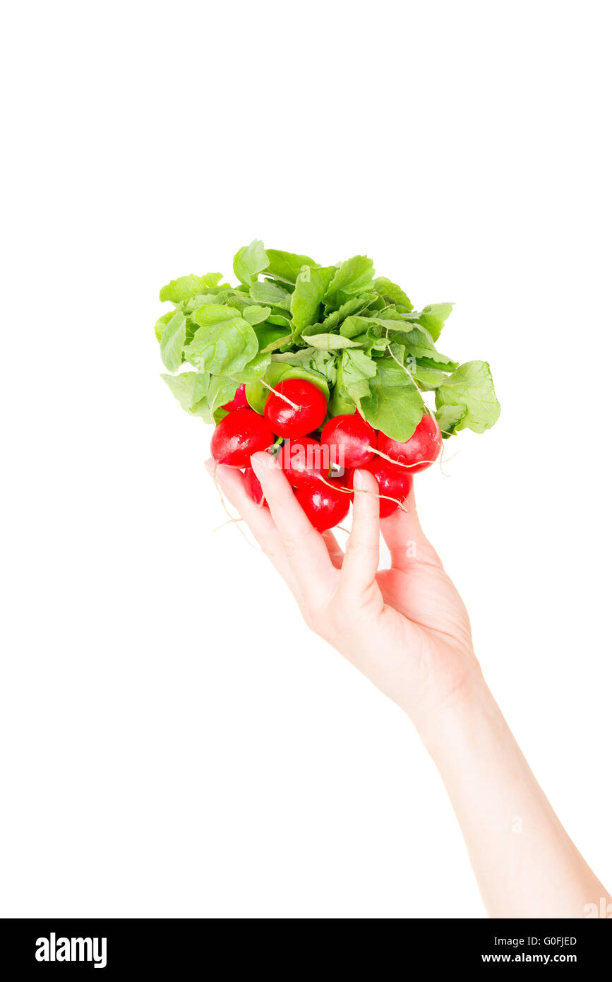 Filler tuber hi-res stock photography and images - Alamy