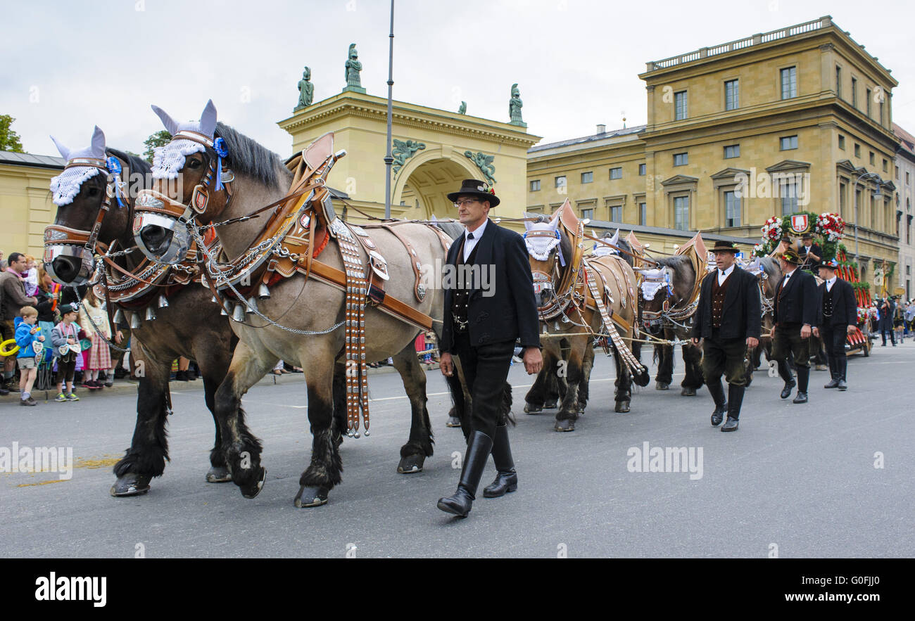 opening parade of Oktoberfest in Munich Stock Photo - Alamy