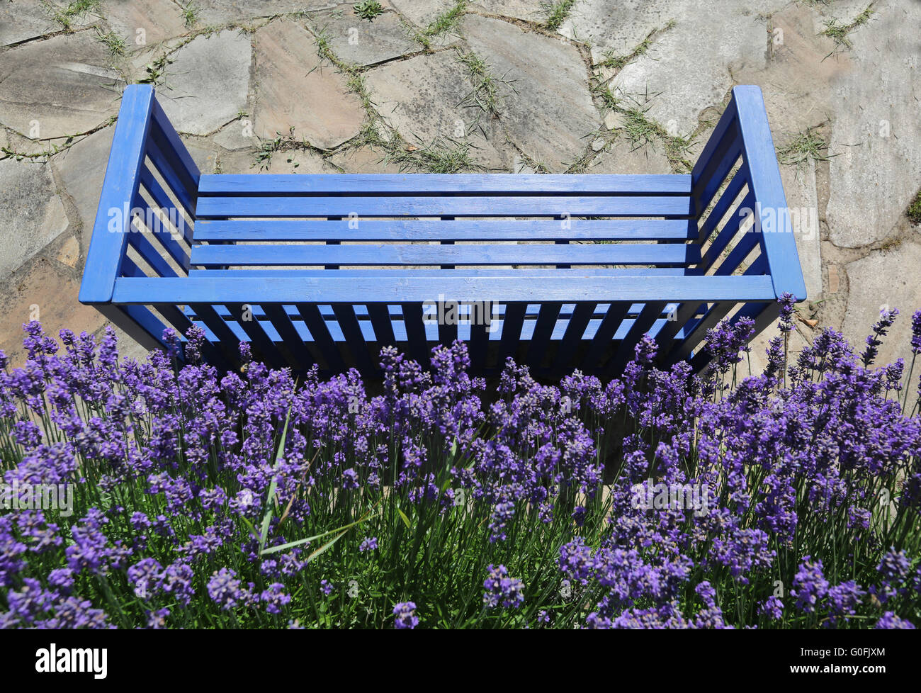 Blue Garden Bench Stock Photo - Alamy