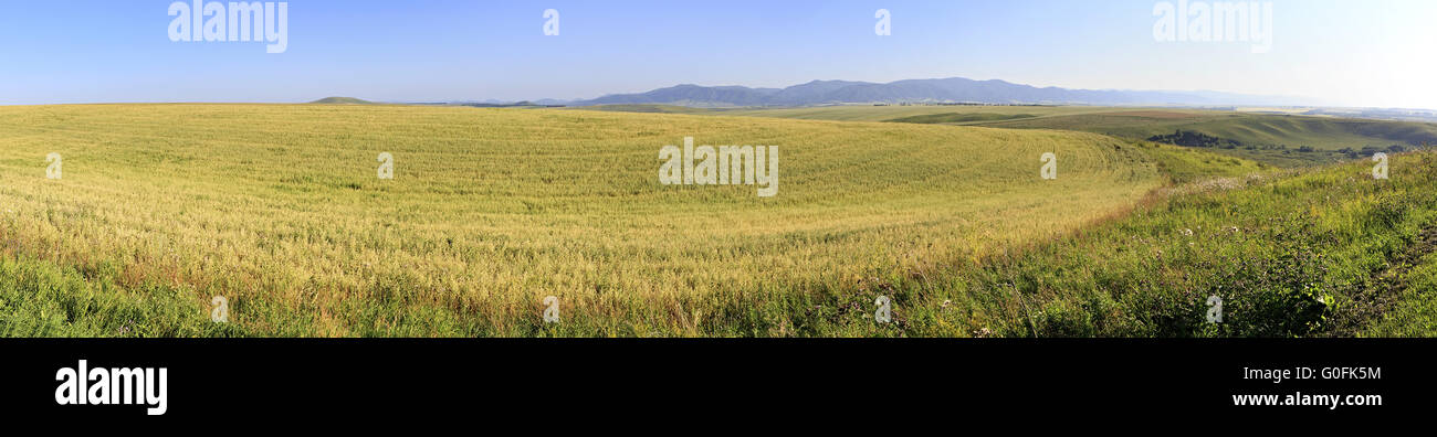 Beautiful panorama agricultural fields in August Stock Photo - Alamy
