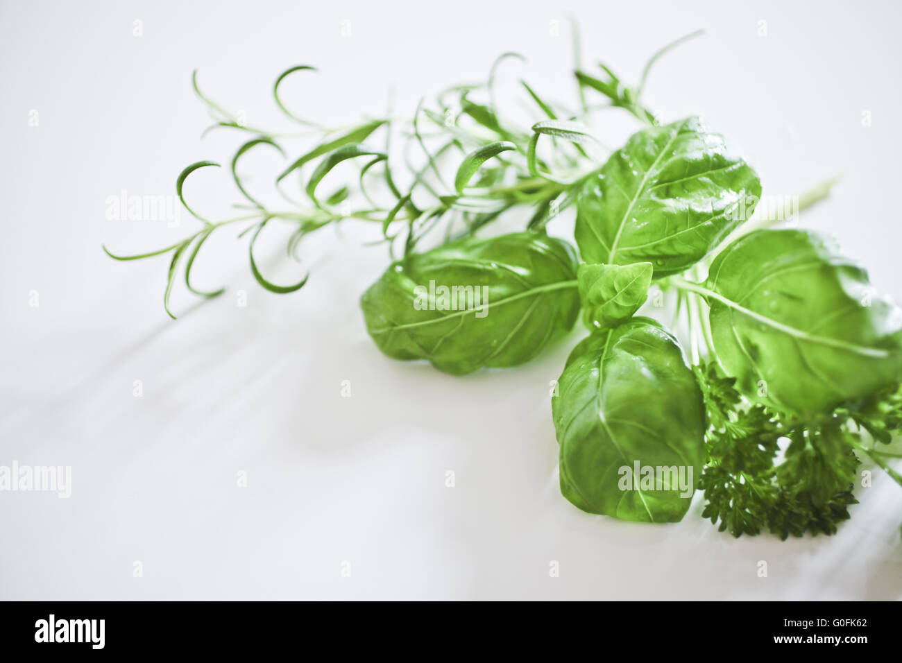 Herb with rosemary, basil & parsley Stock Photo - Alamy