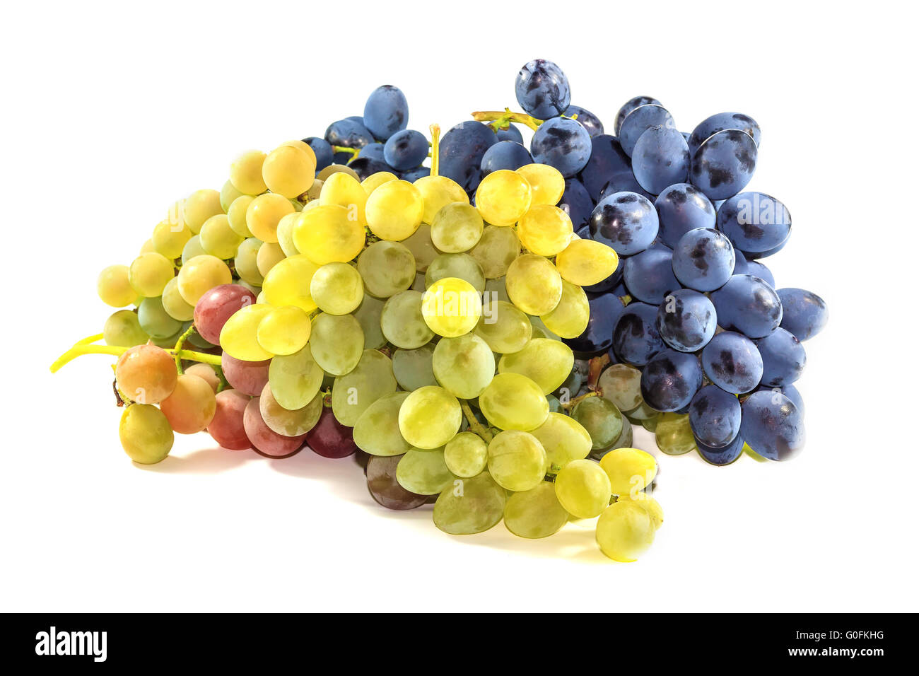Grapes farming Cut Out Stock Images & Pictures - Alamy