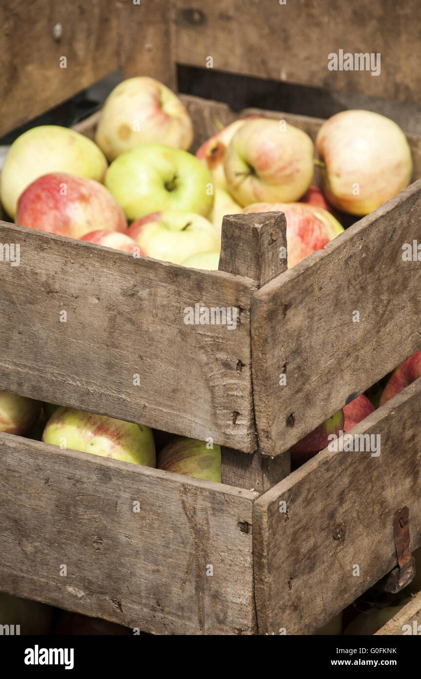 Apple crate closeup hi-res stock photography and images - Alamy