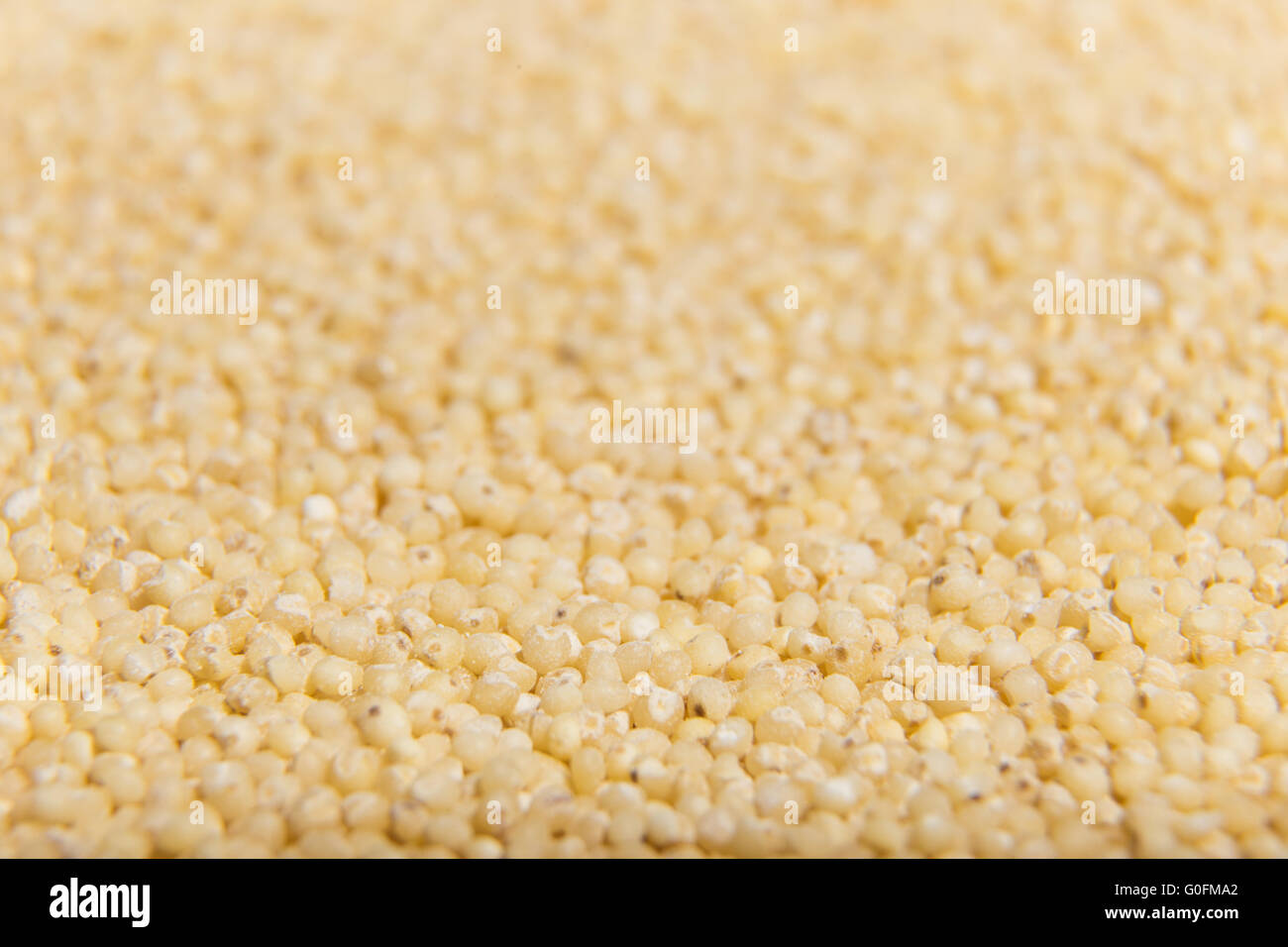 Uncooked millet cereal closeup macro Stock Photo - Alamy
