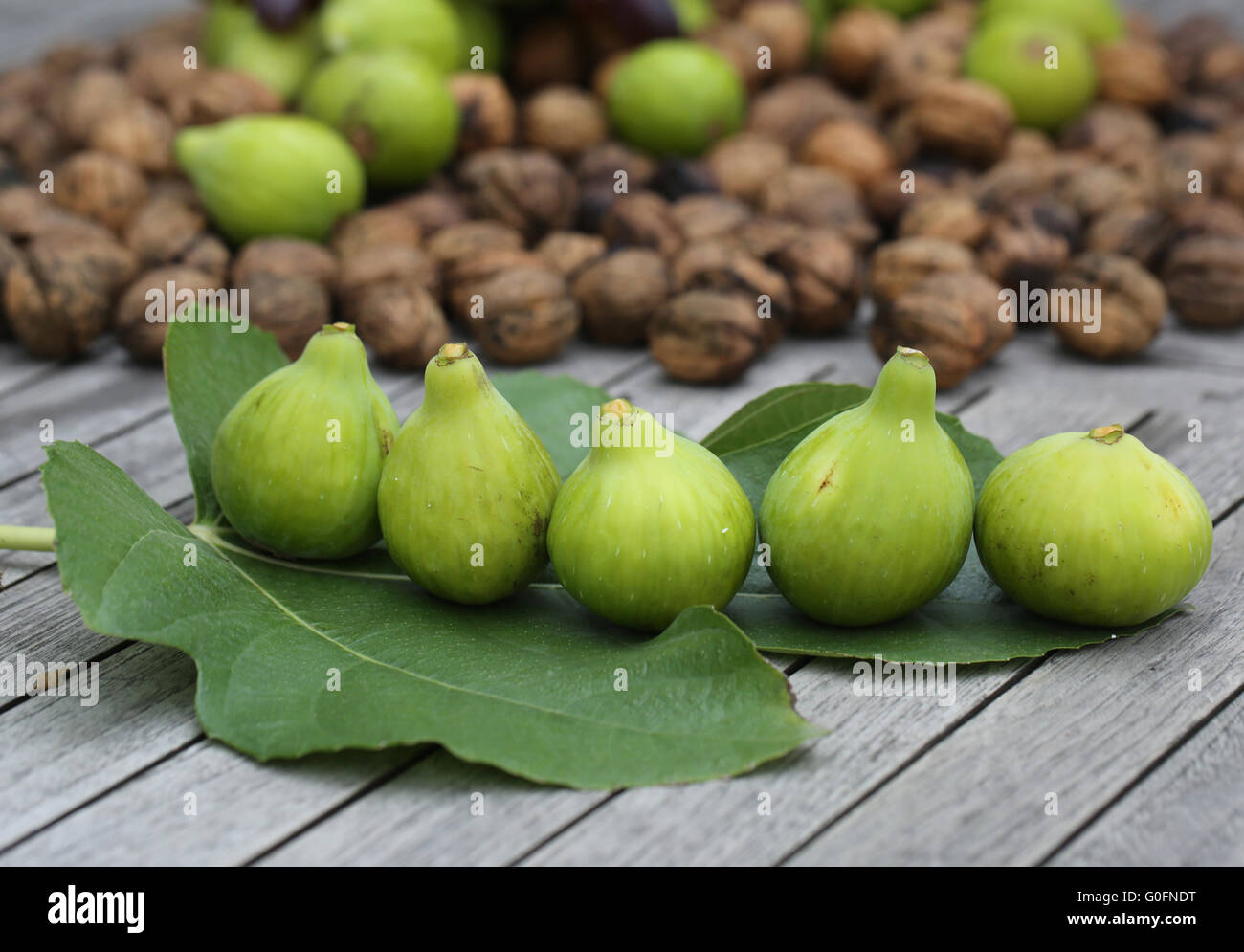 Figs on a Fig Leaf Stock Photo - Alamy