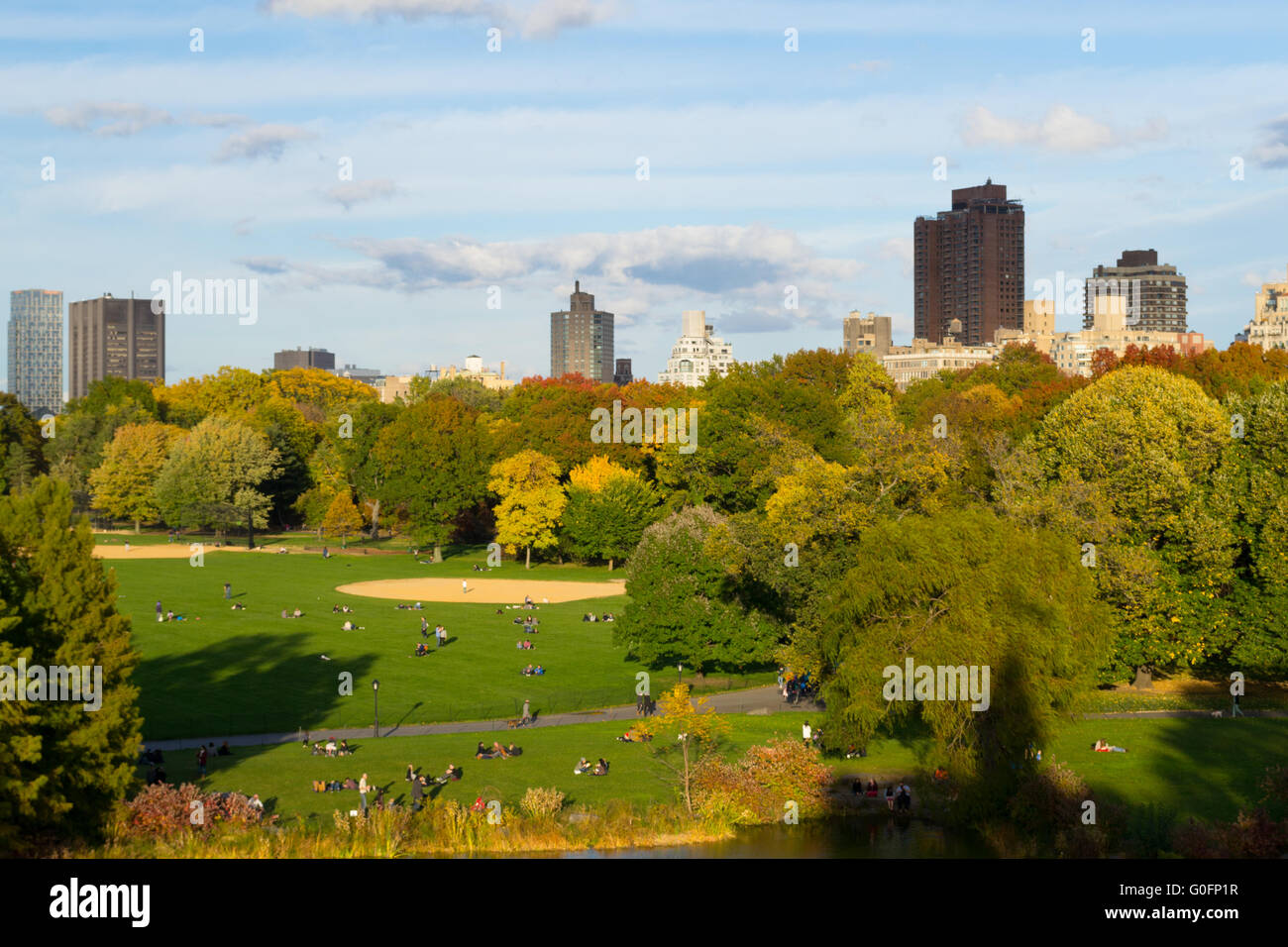 Great lawn during the fall season Stock Photo - Alamy