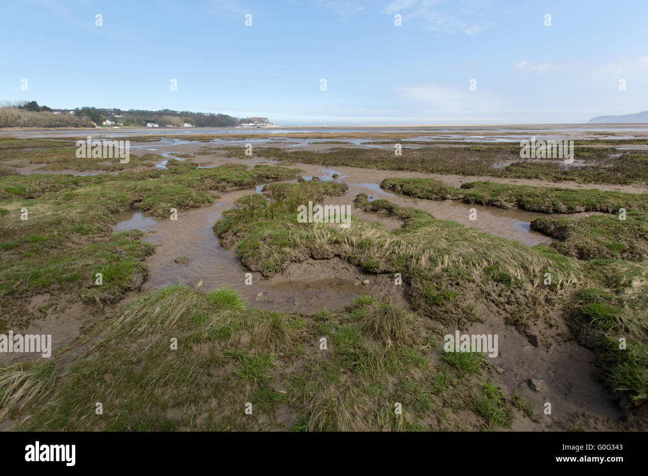 Wales salt marshes hi-res stock photography and images - Alamy
