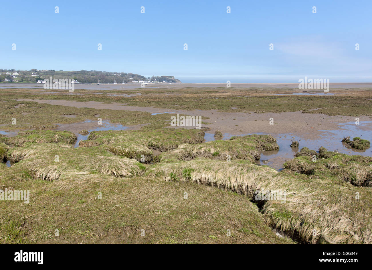 Wales salt marshes hi-res stock photography and images - Alamy