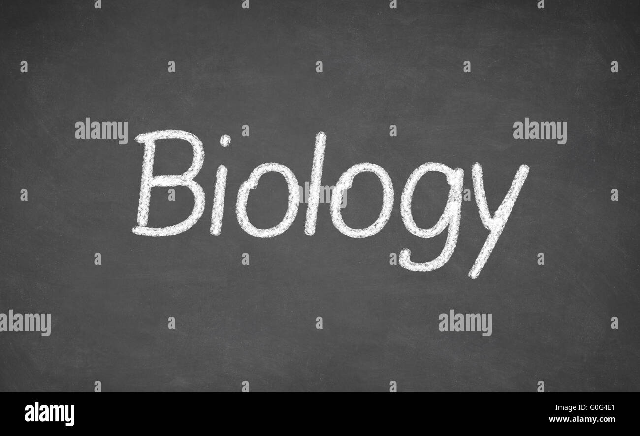 Biology lesson on blackboard or chalkboard Stock Photo - Alamy