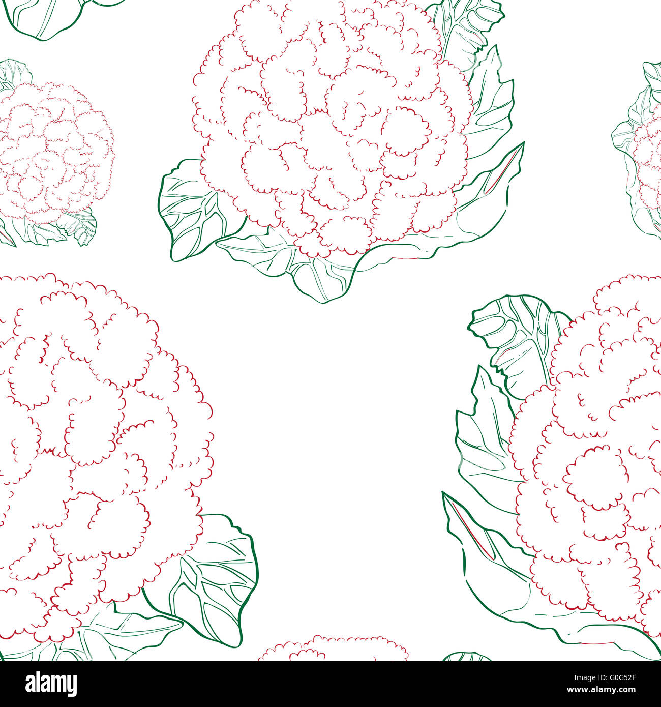 Cauliflower drawing hi-res stock photography and images - Alamy
