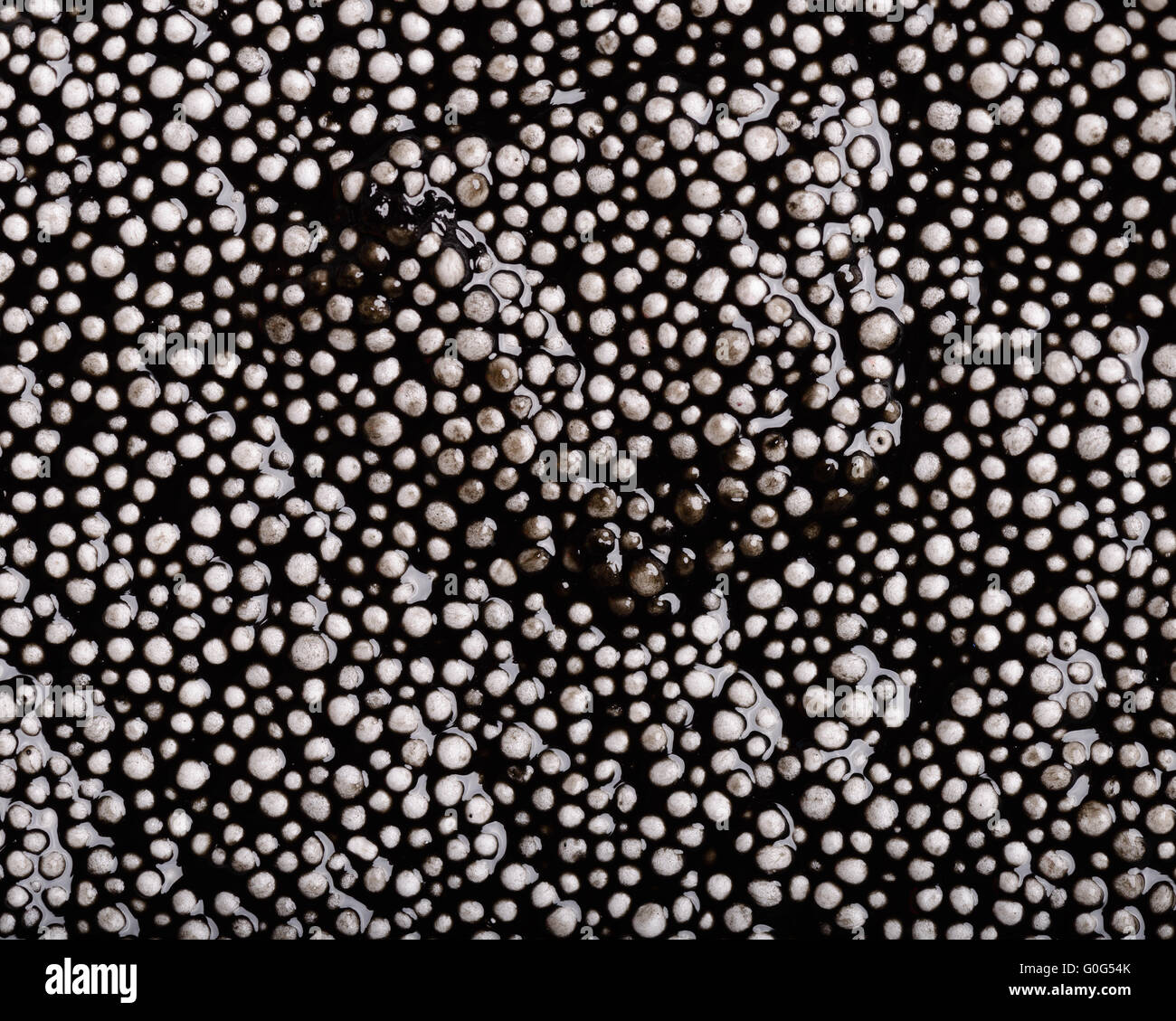 Colorful background - textured black plasticine Stock Photo - Alamy