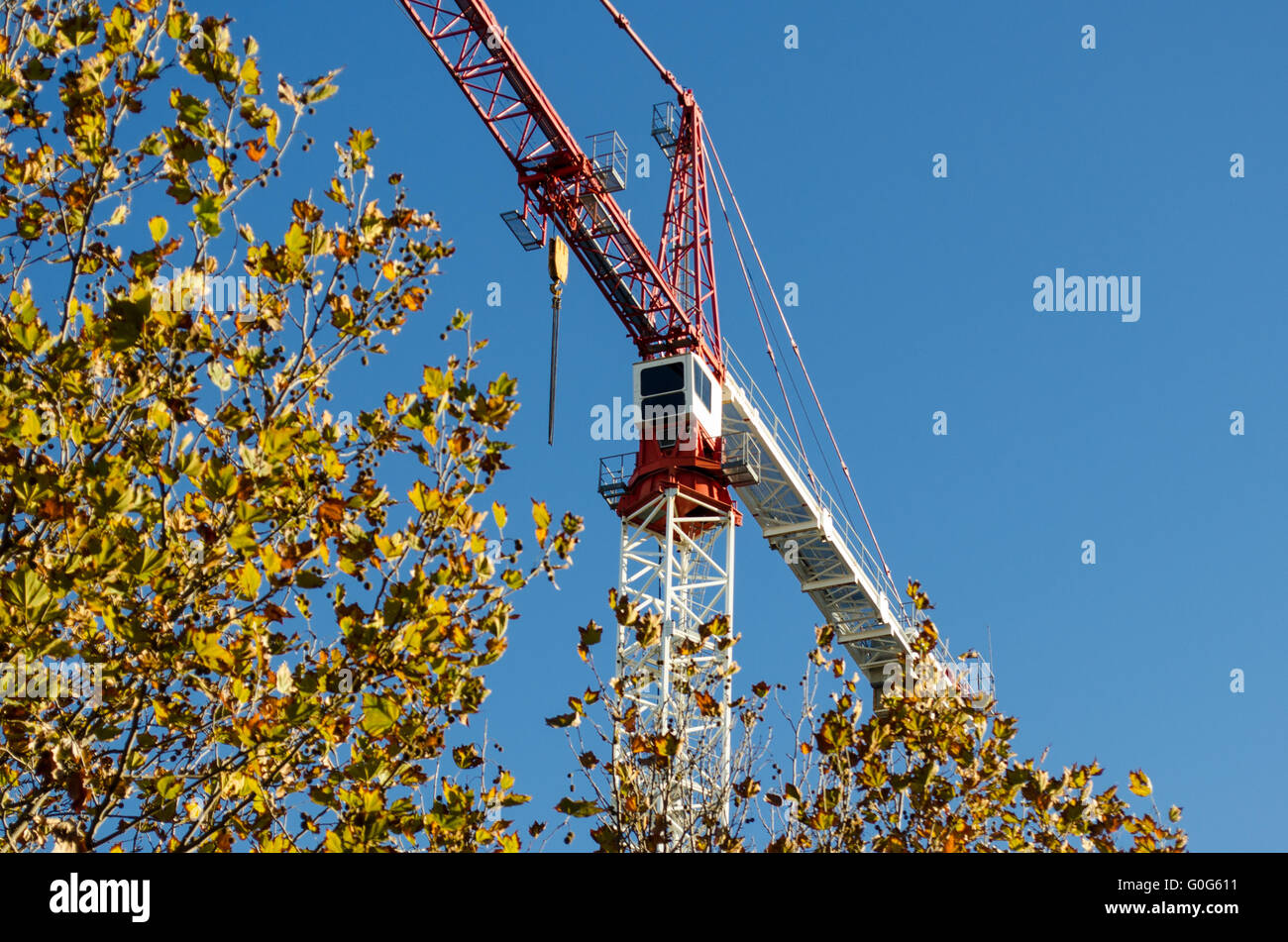 Tall crane through trees hi-res stock photography and images - Alamy