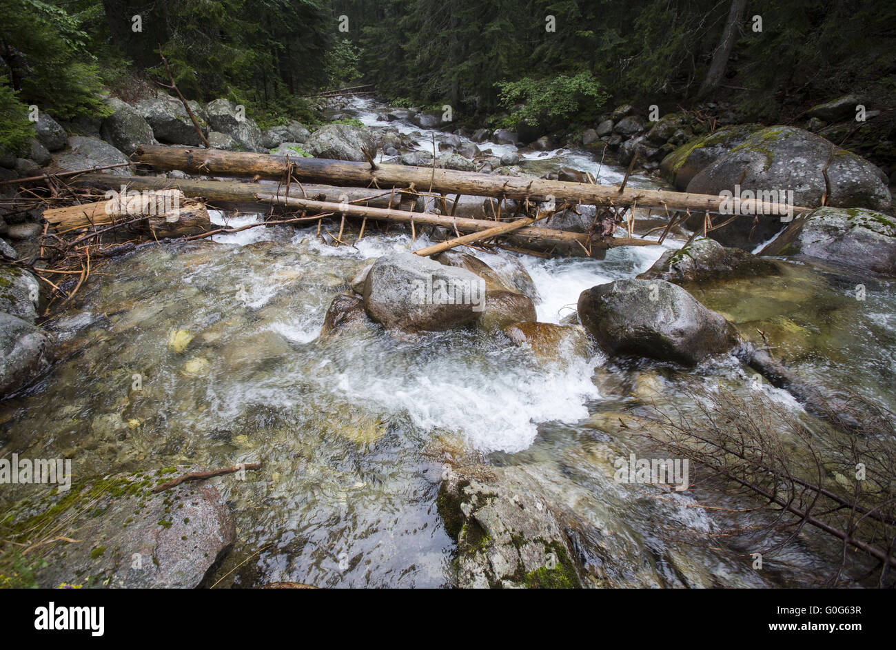 Landscape rapid river fallen tree hi-res stock photography and images ...