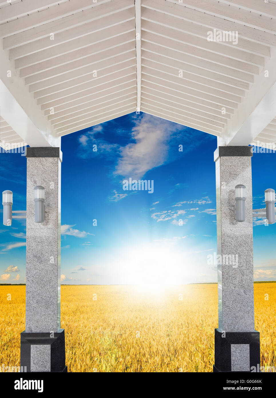 wheat field velarium Stock Photo - Alamy