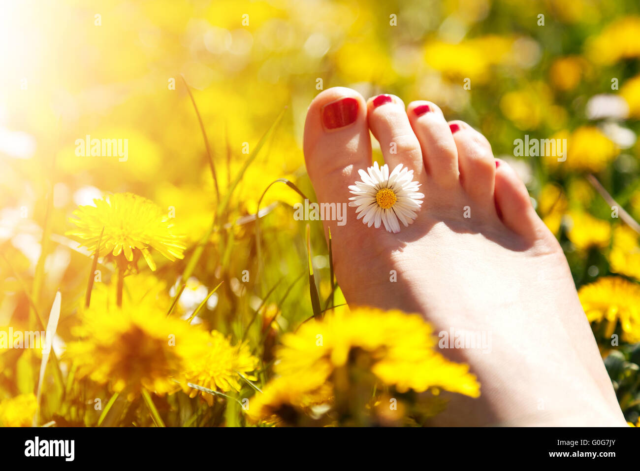Foot of a young woman with a spring flower in fingers lying on sunny ...