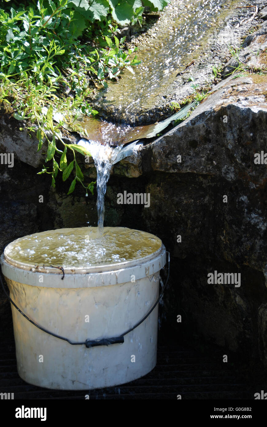 Catch water from natural spring Stock Photo - Alamy