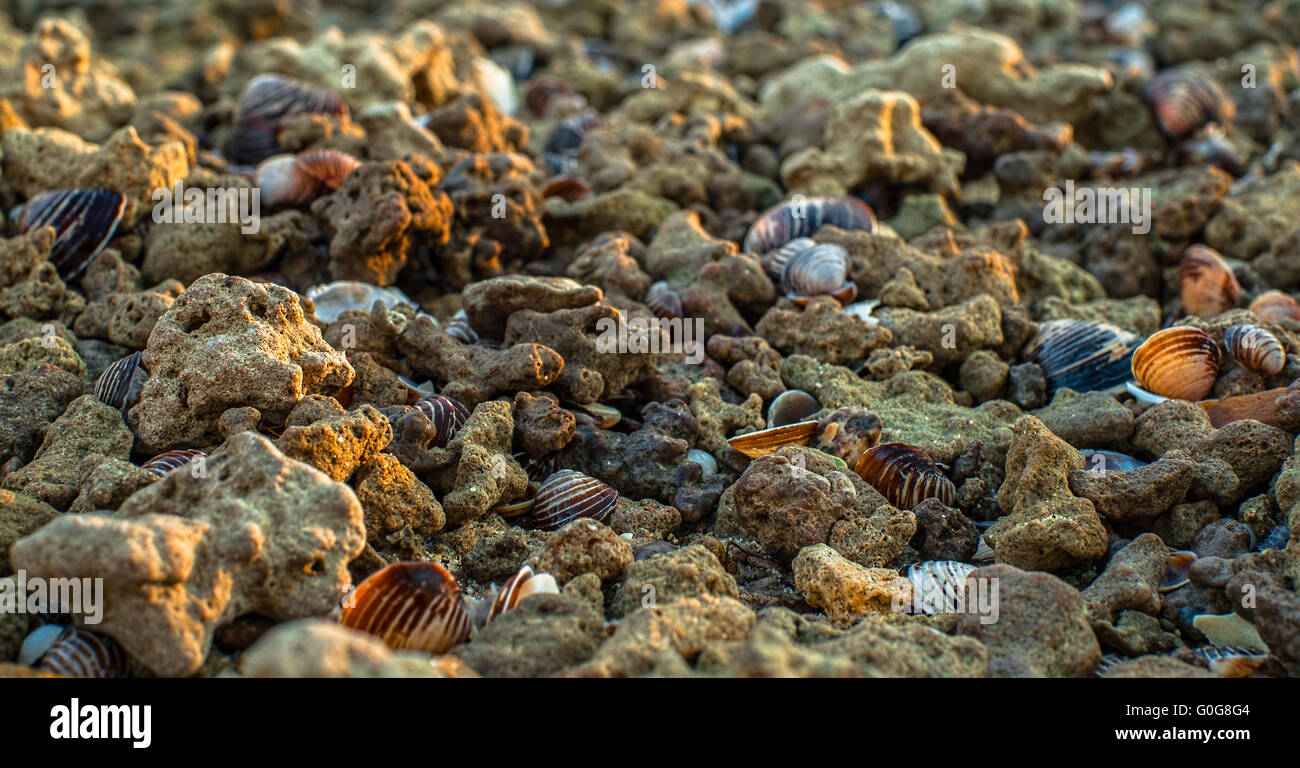 Strange shapes on beach Stock Photo - Alamy