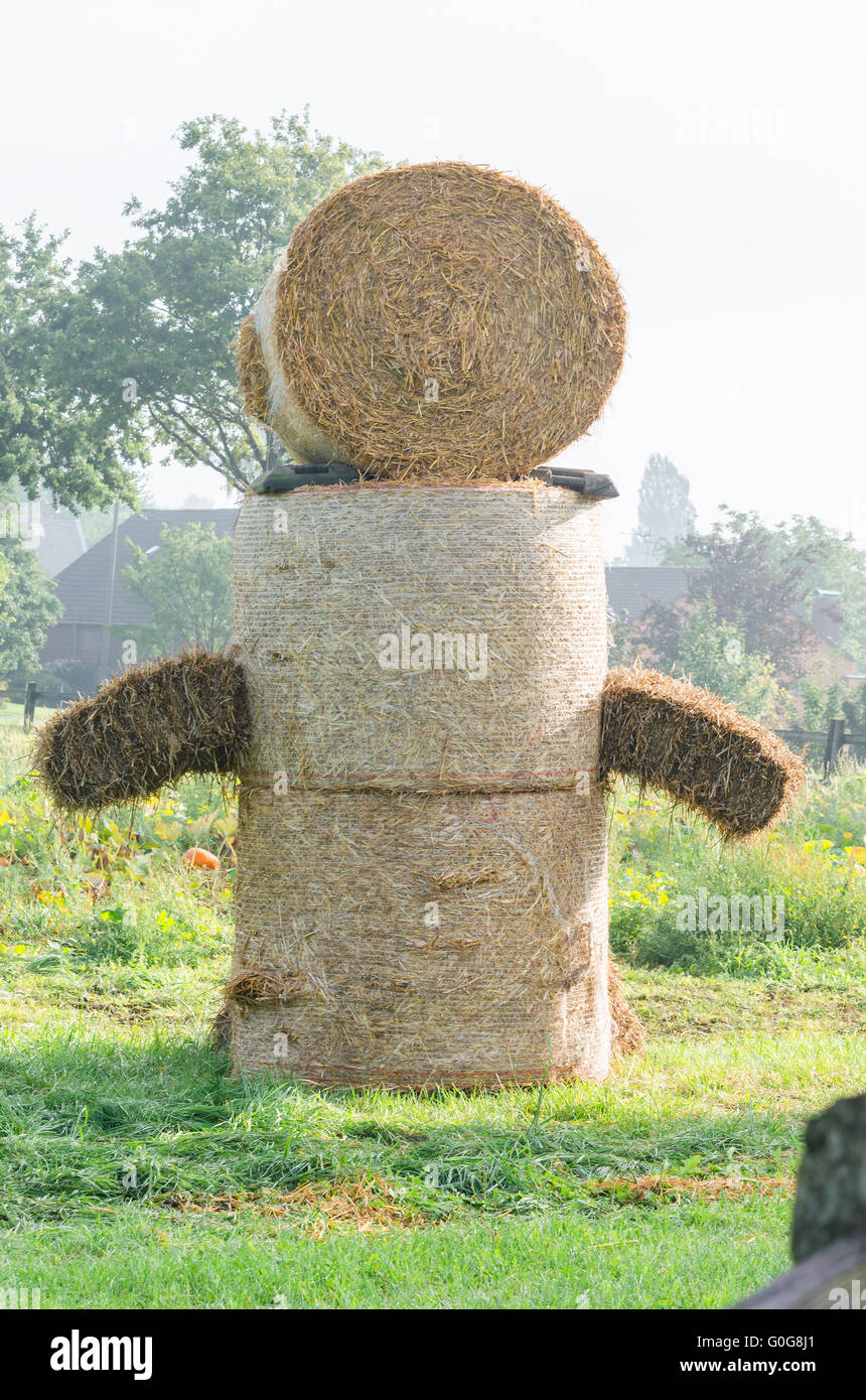 Hay bale figure, in the countryside Stock Photo - Alamy