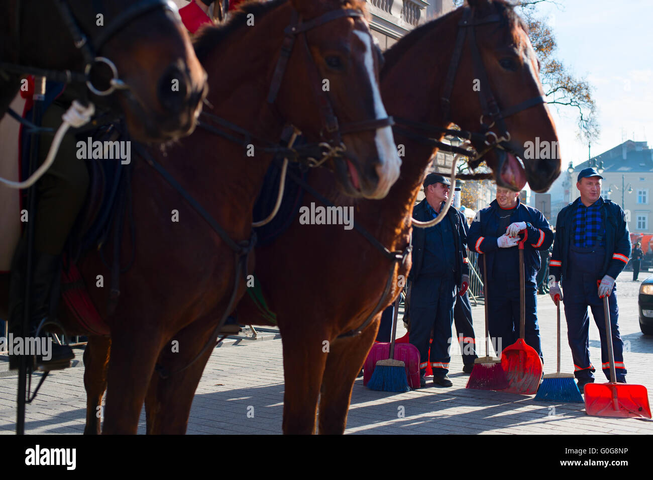 Horse litter hi-res stock photography and images - Alamy