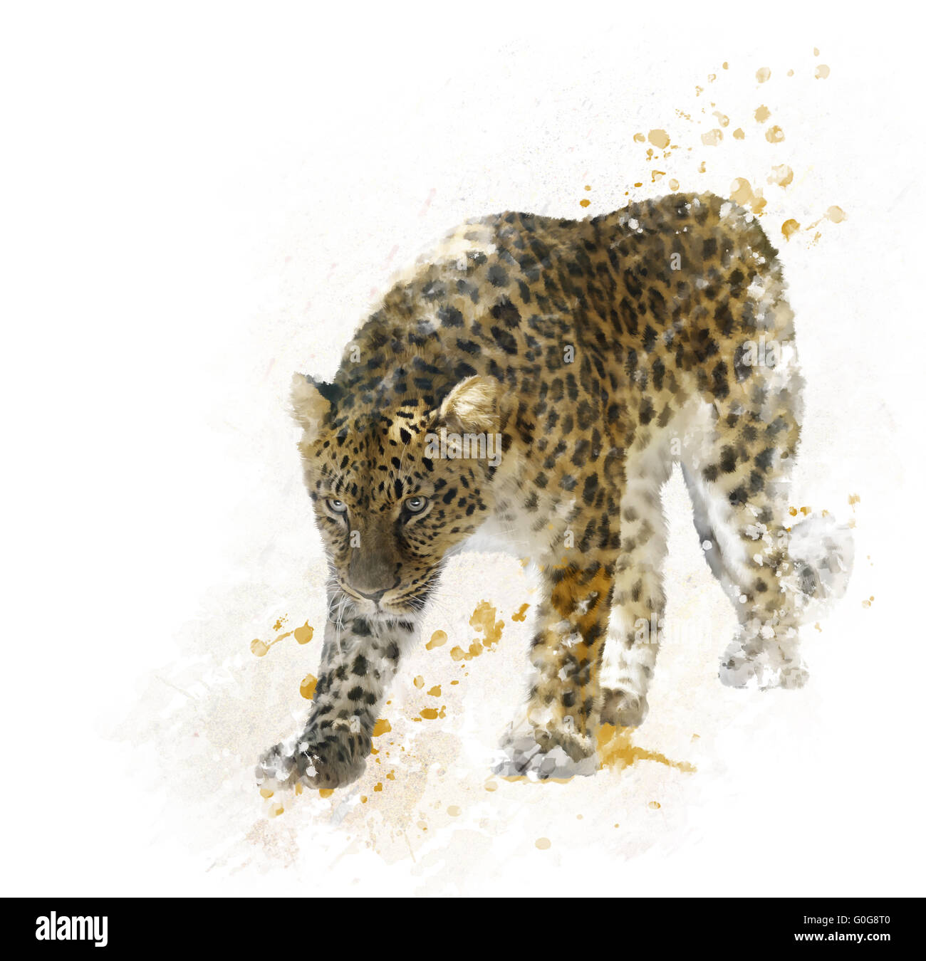 Digital Painting of Leopard Stock Photo - Alamy