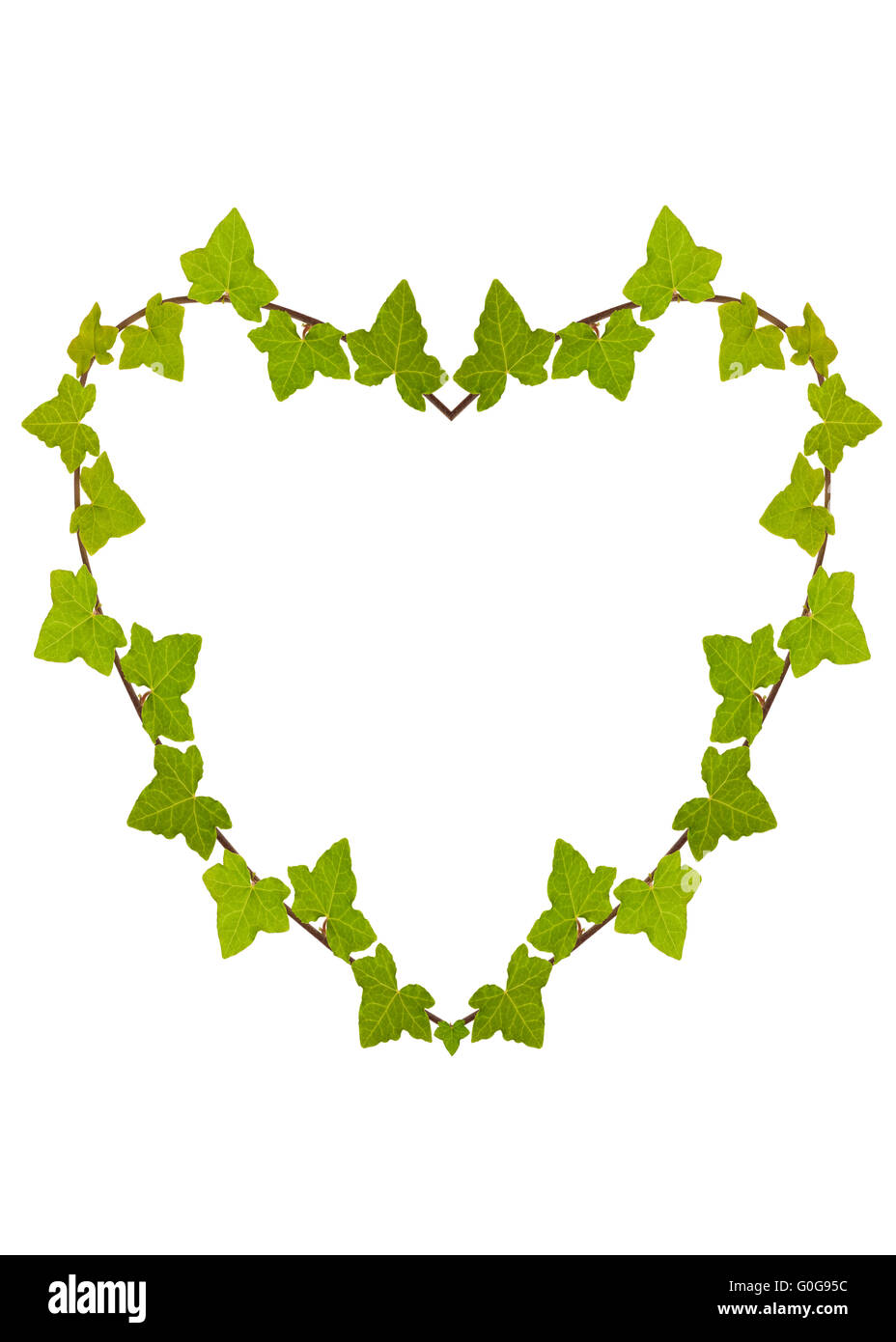 Ivy heart hi-res stock photography and images - Alamy