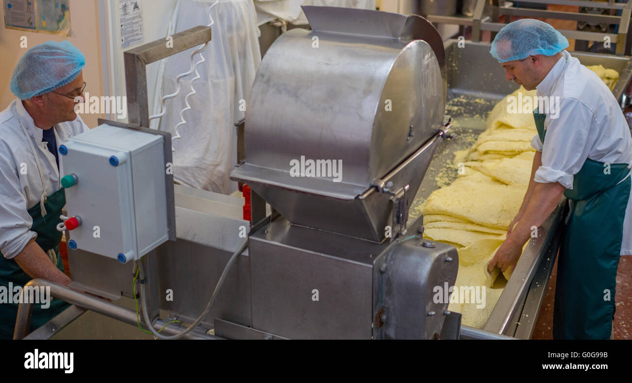 Men processing cheese through a mill Stock Photo - Alamy