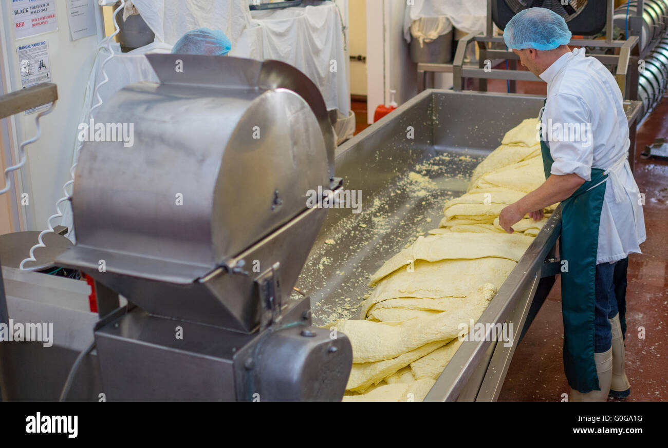 Processing cheese hi-res stock photography and images - Alamy