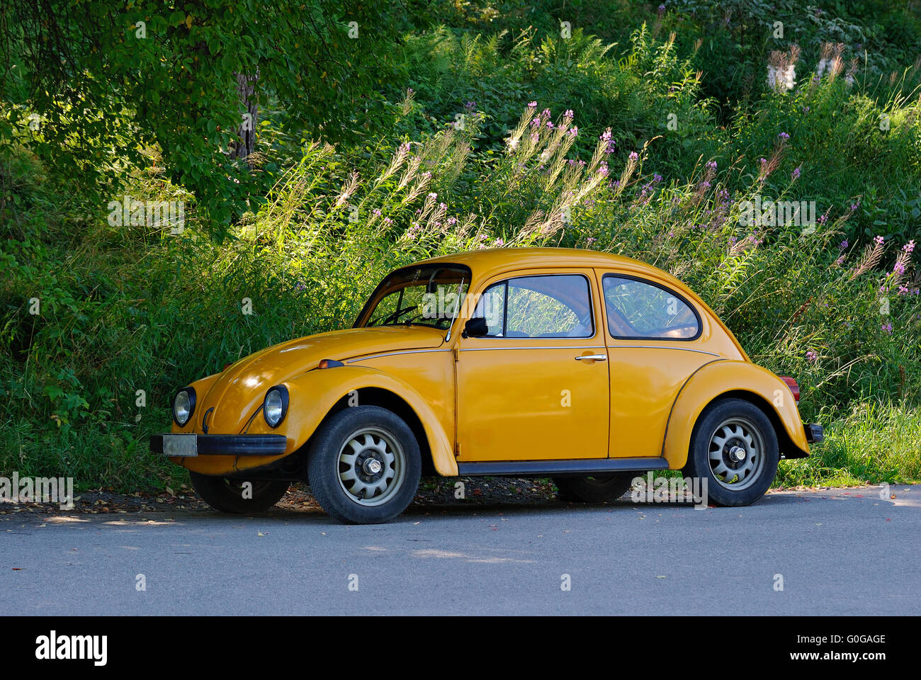 The yellow car Stock Photo - Alamy
