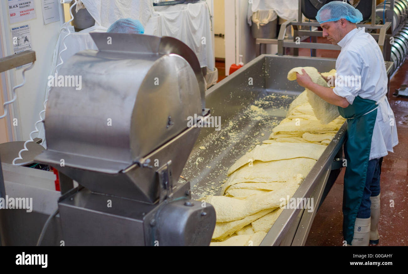 Cheese making process hi-res stock photography and images - Alamy