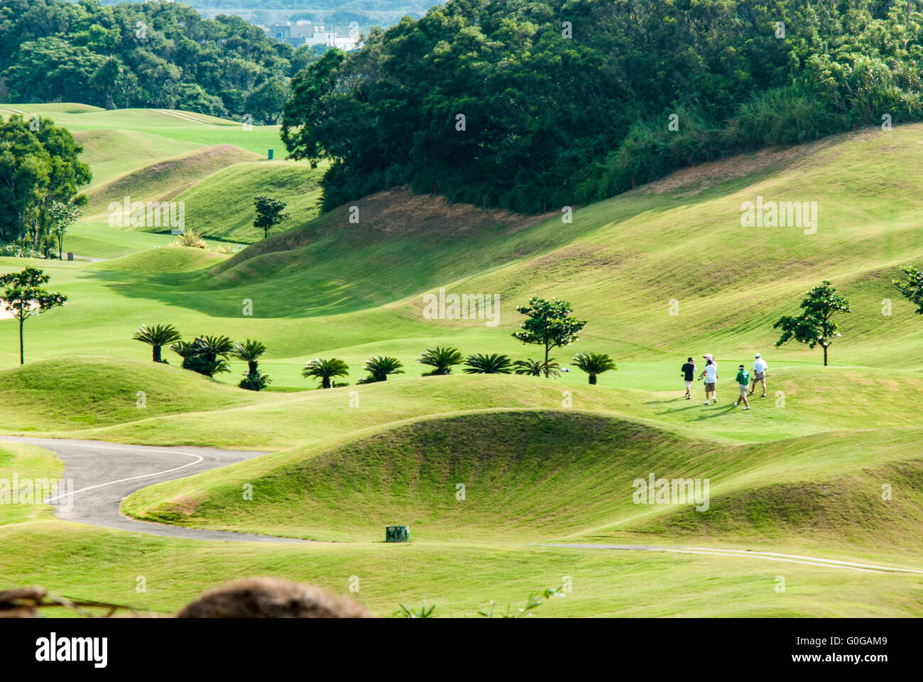 The beautiful golf place with nice green color, Taiwan Stock Photo - Alamy