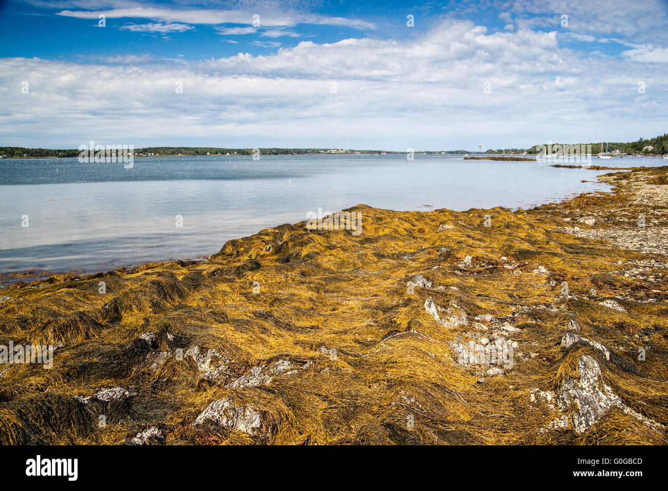 Atlantic seacoast village hi-res stock photography and images - Alamy