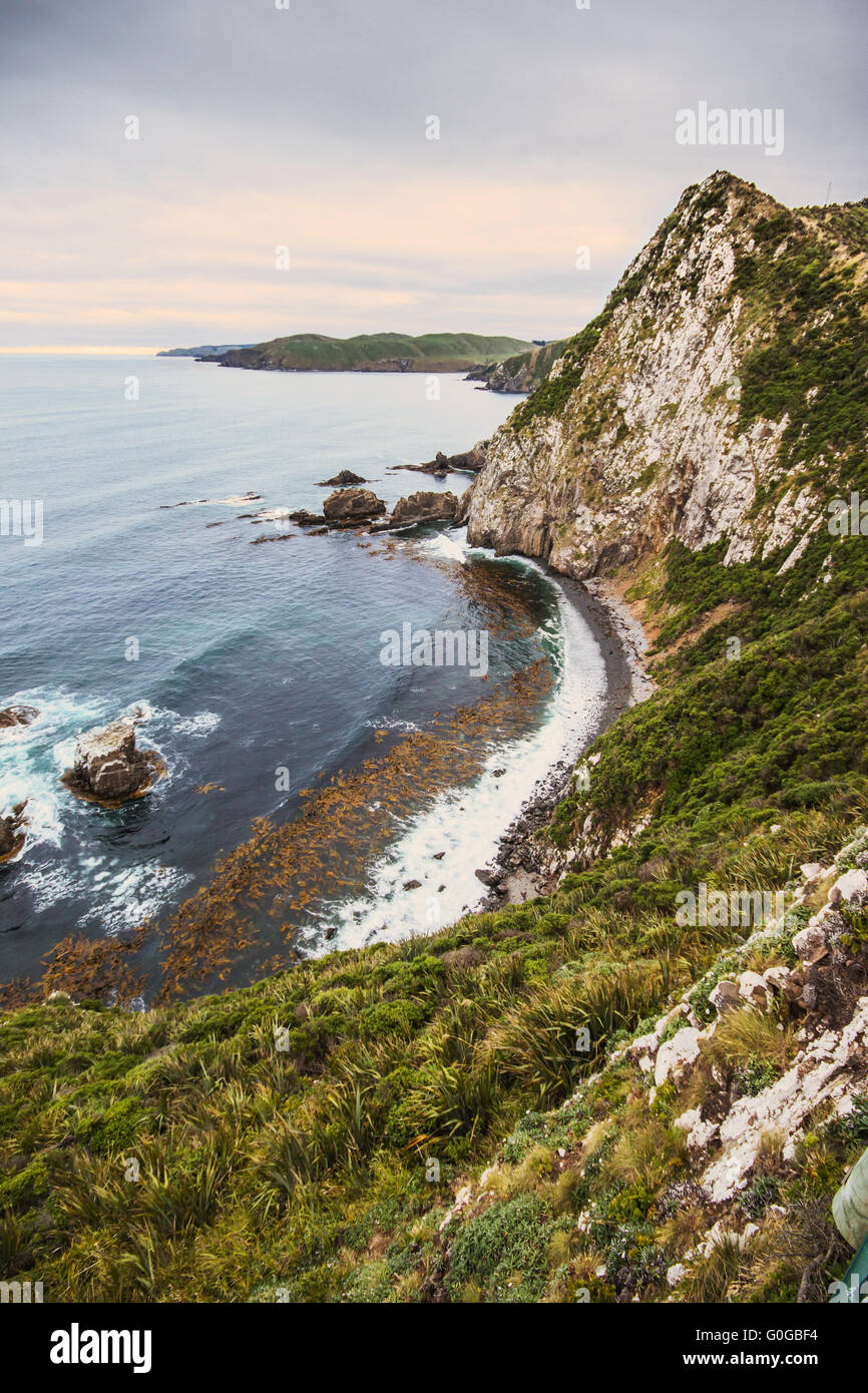 Catlins coast new zealand hi-res stock photography and images - Alamy