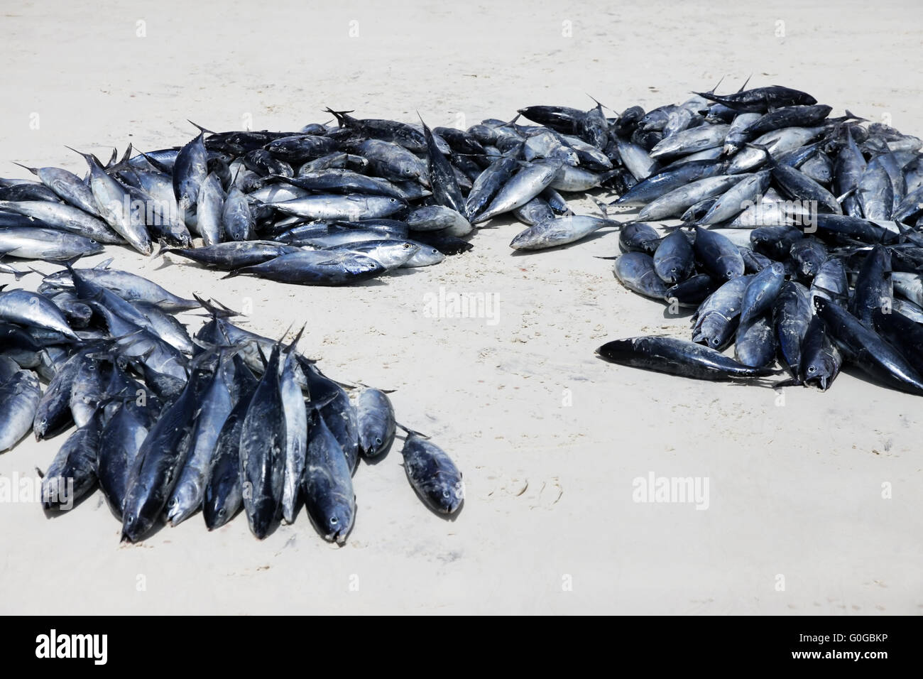 Market at stone town hi-res stock photography and images - Alamy