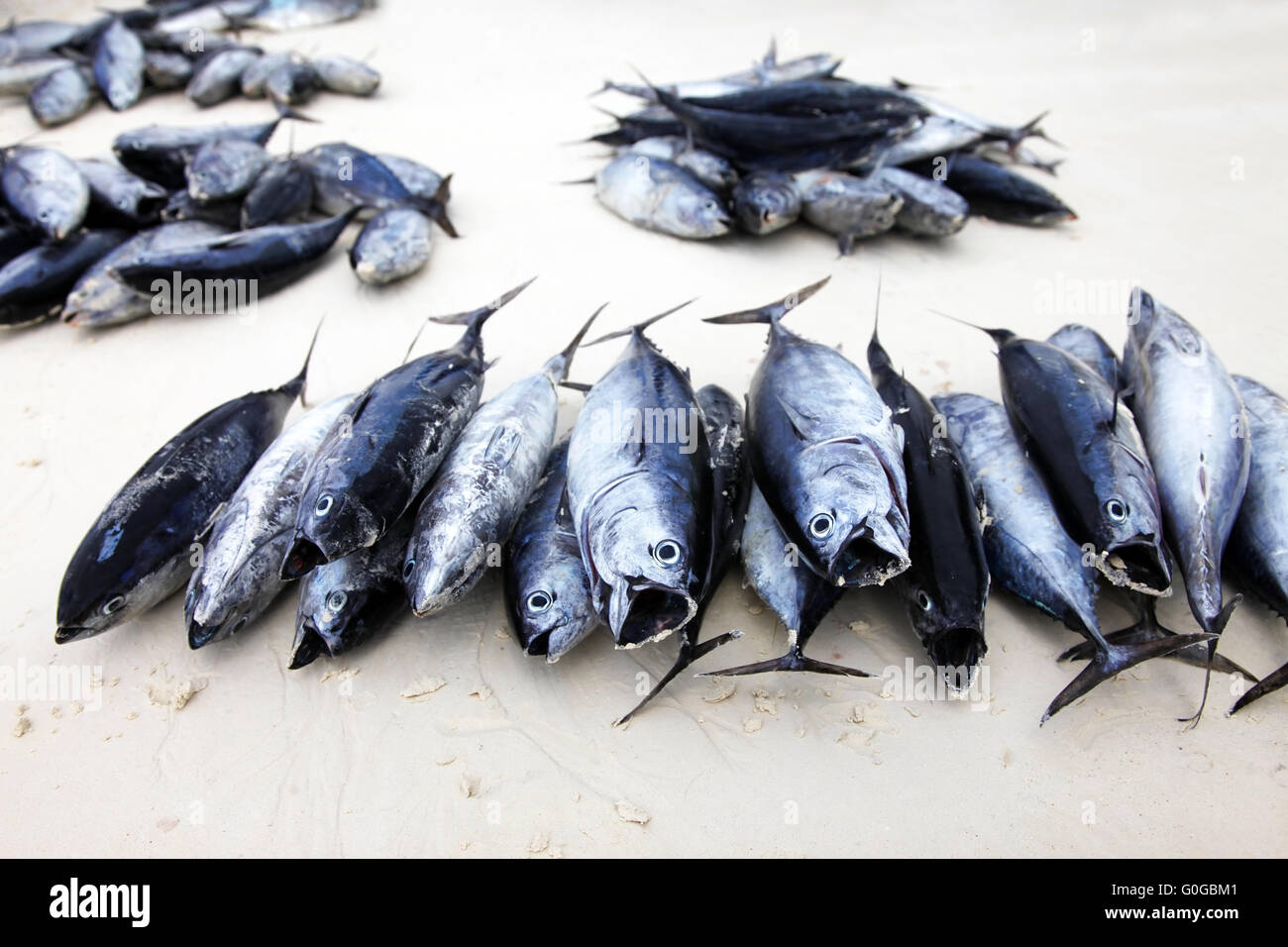 Market at stone town hi-res stock photography and images - Alamy