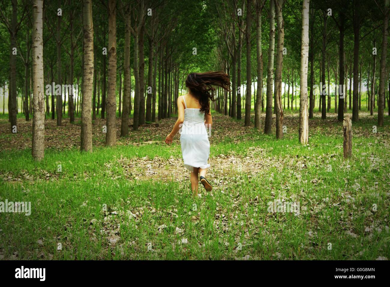 Through the forest Stock Photo - Alamy