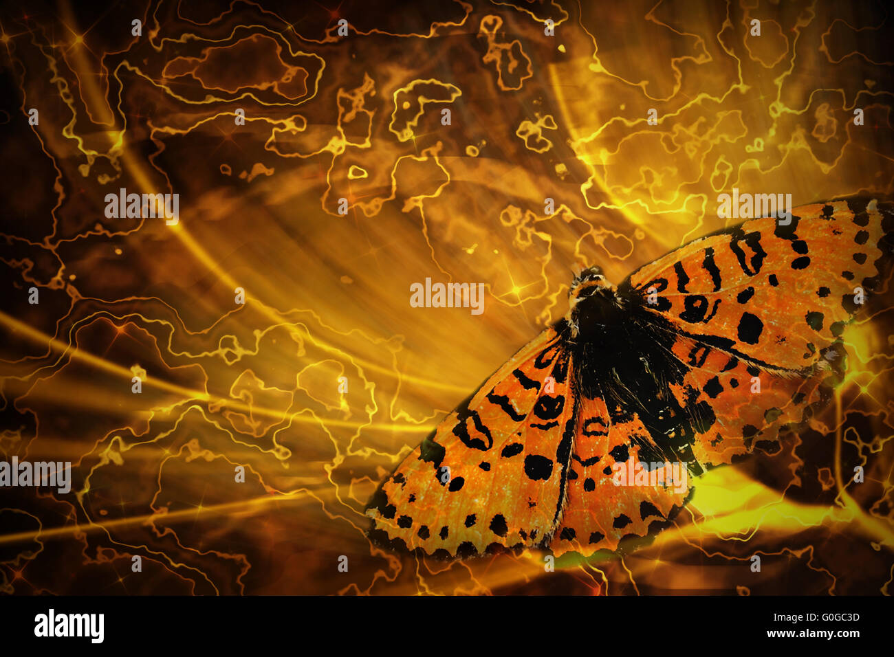 yellow brown abstract background with butterfly Stock Photo - Alamy