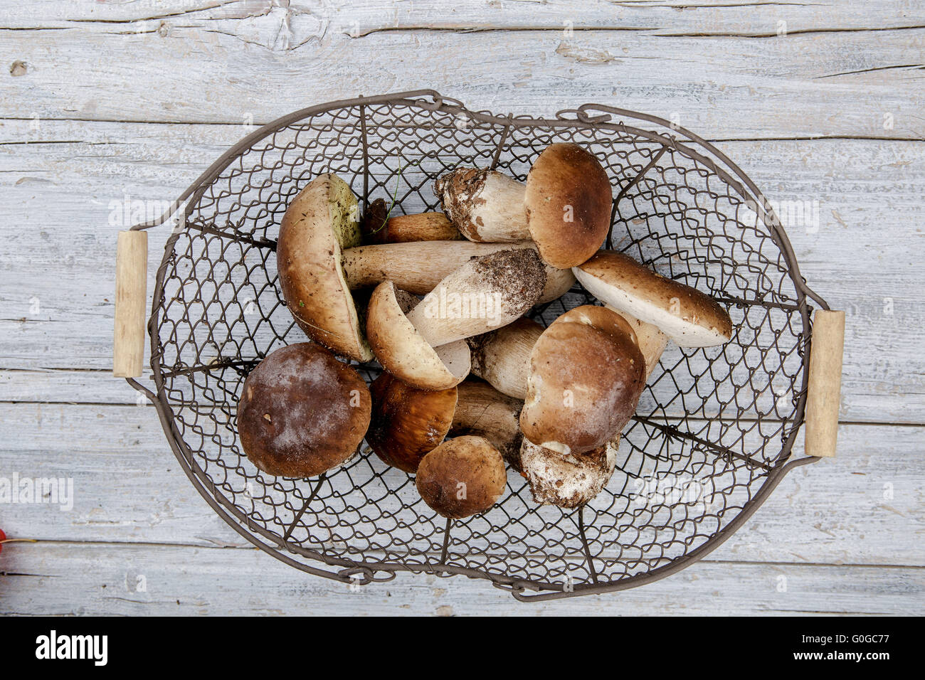 Porcino edible hi-res stock photography and images - Alamy