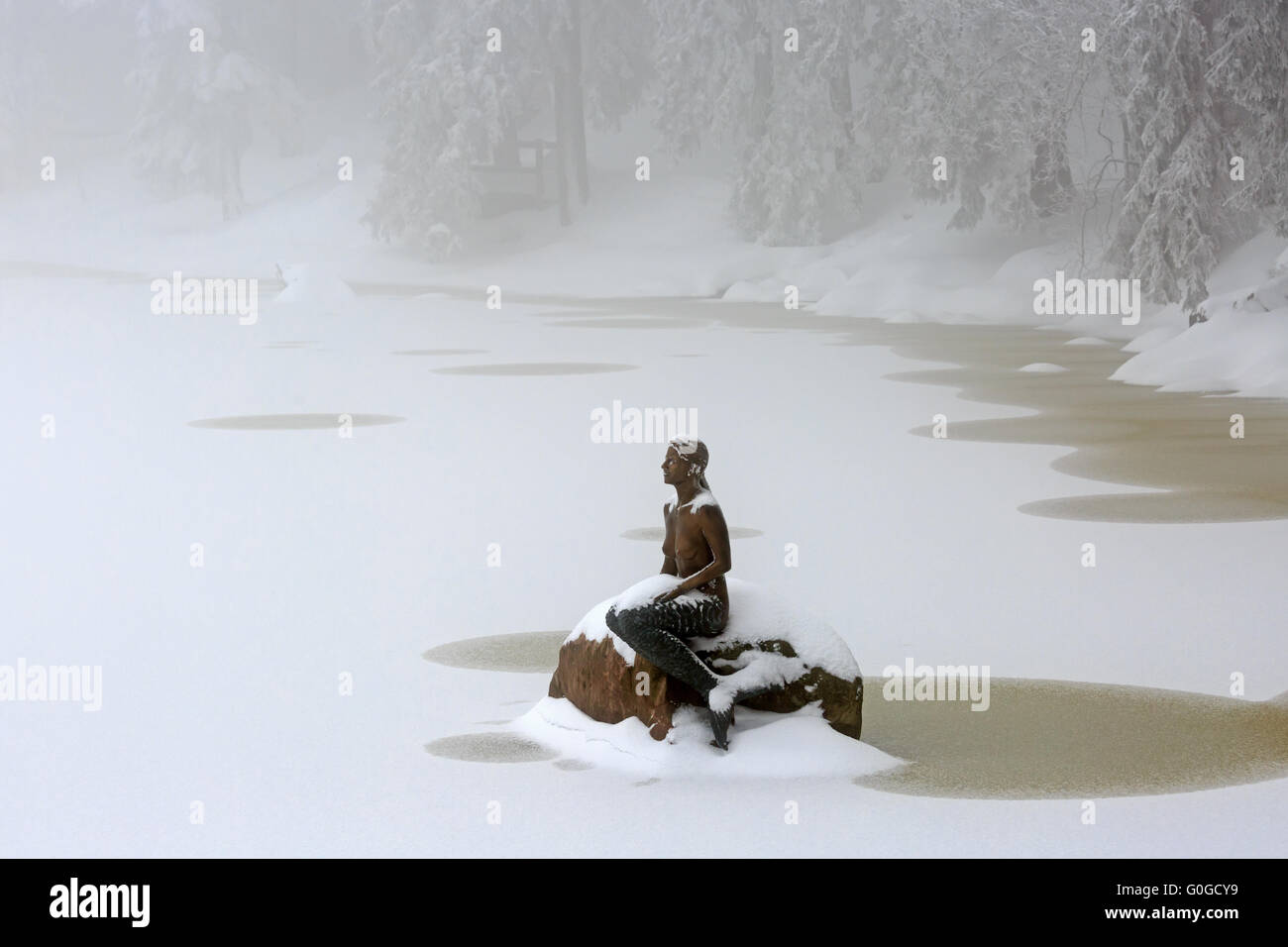 Mummelsee, Black forest Stock Photo - Alamy