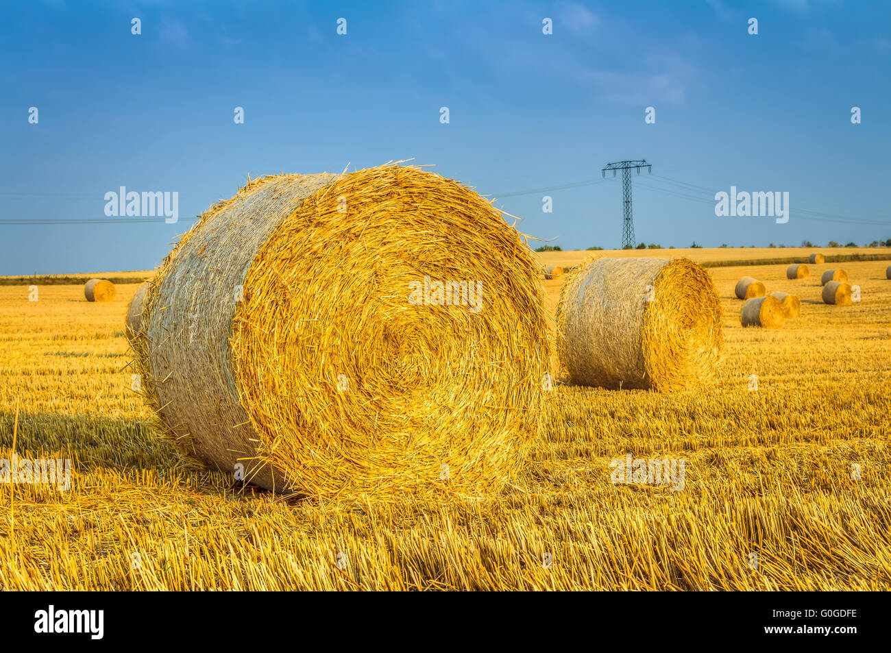 Bale production hi-res stock photography and images - Alamy