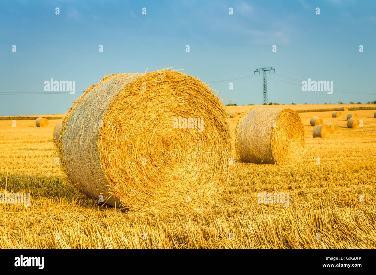 Bales of raw fibre hi-res stock photography and images - Alamy