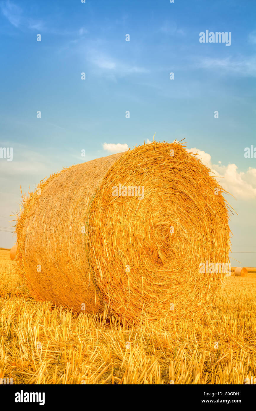 Bale of fiber hi-res stock photography and images - Alamy