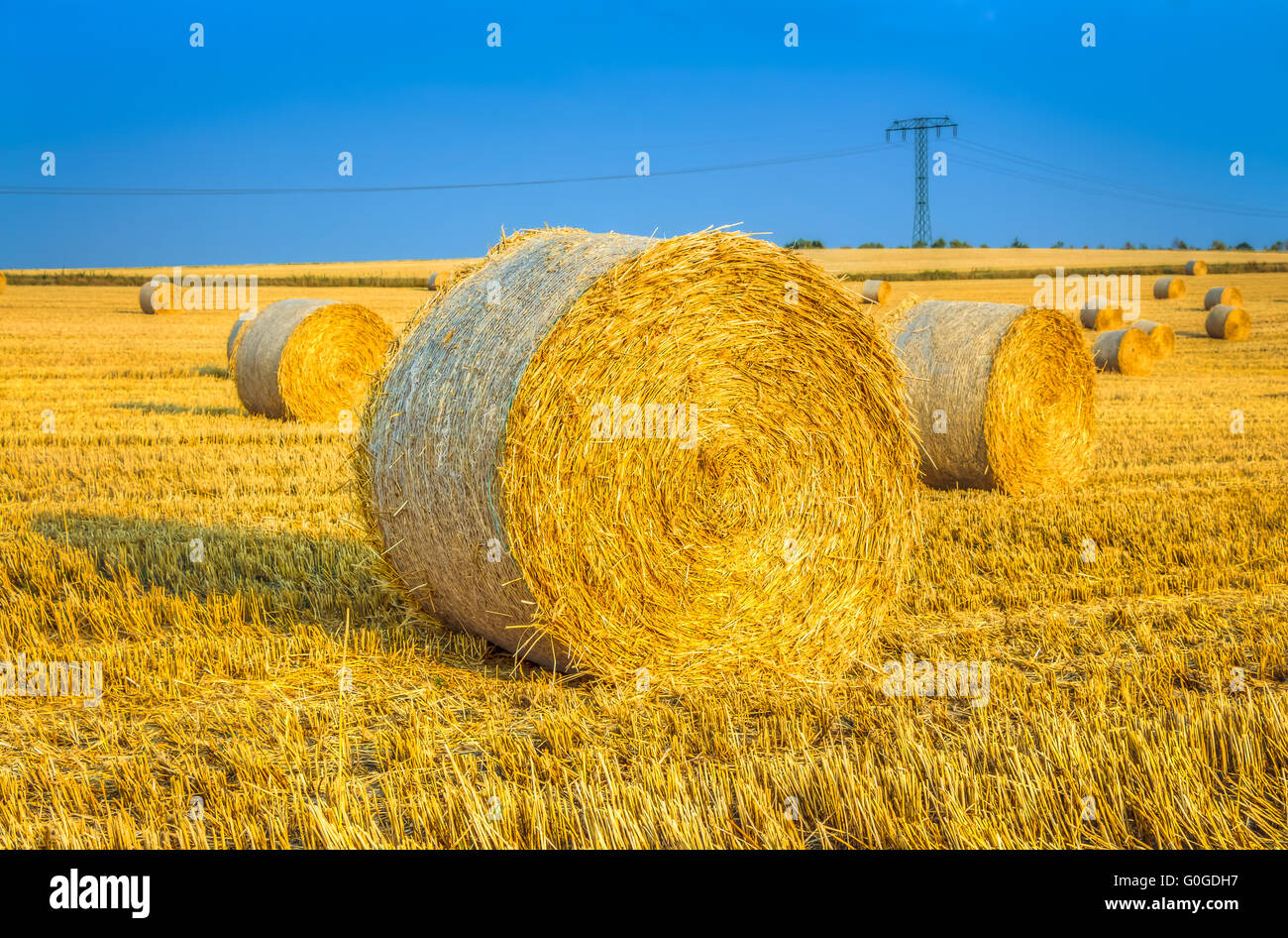 Fiber bales hi-res stock photography and images - Alamy