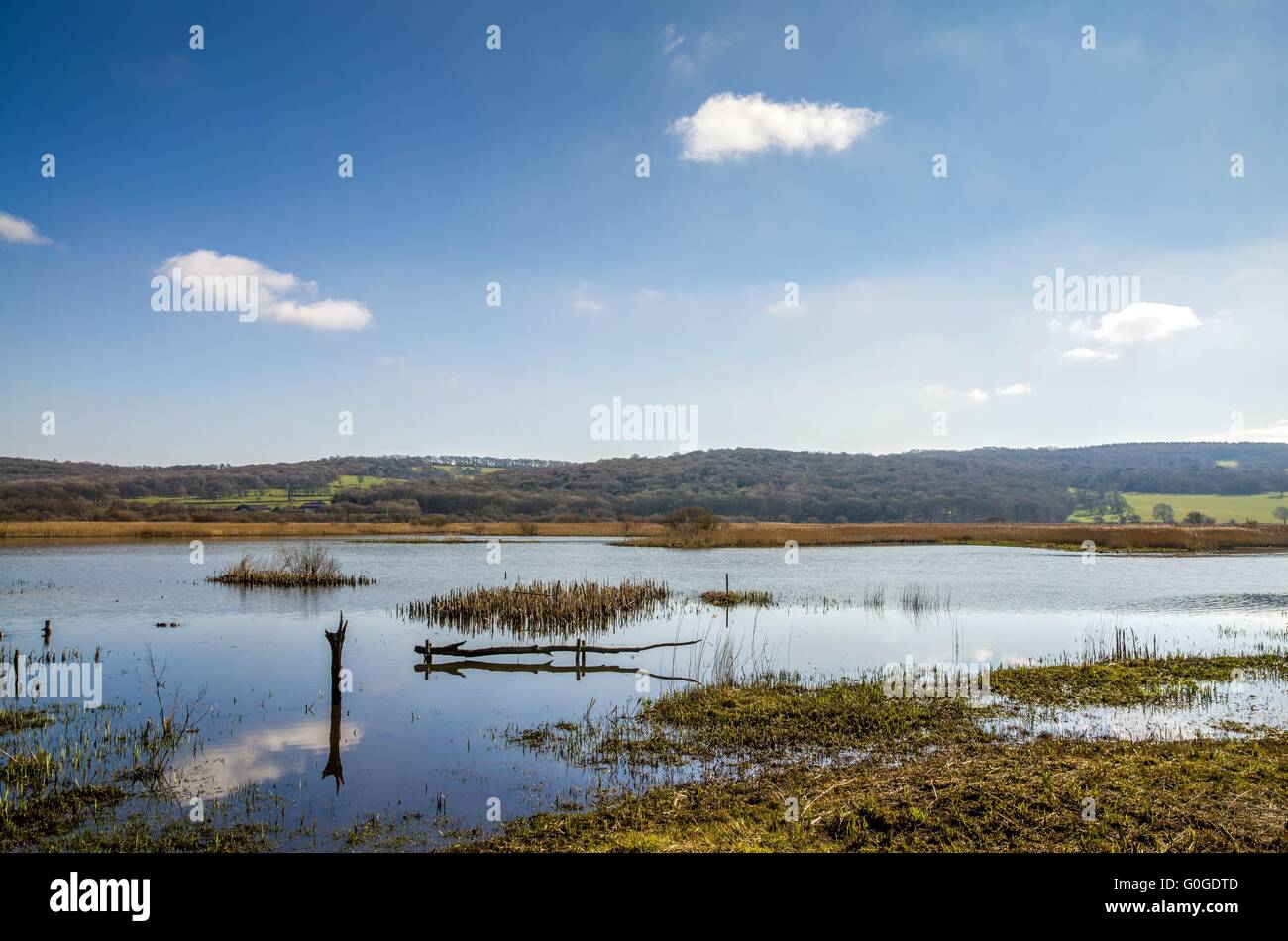 Leighton hill hi-res stock photography and images - Alamy