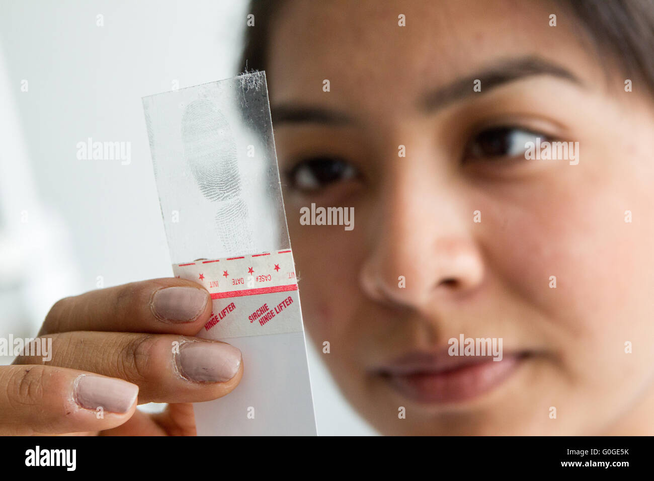 Forensic researcher hi-res stock photography and images - Alamy